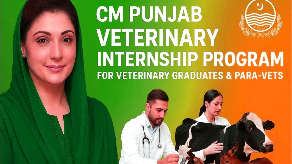 CM Punjab Veterinary Internship Program 2025: Get Rs. 60,000 Monthly ...